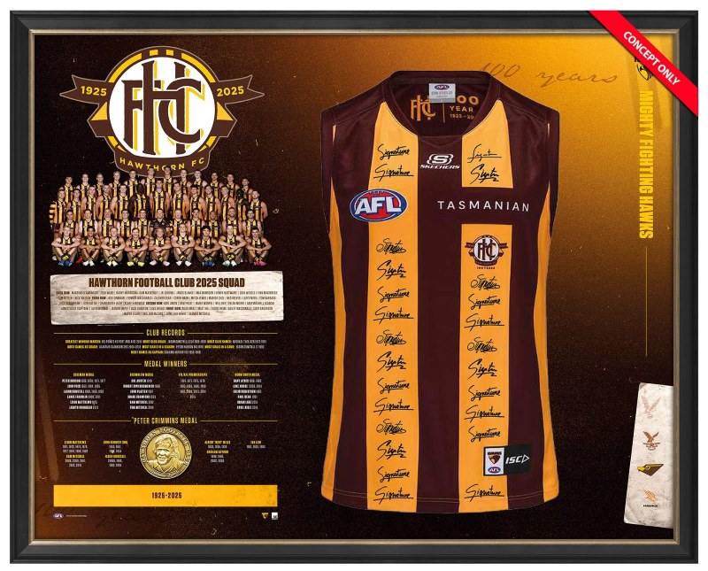 HAWTHORN HAWKS MEMORABILIA & AFL Merchandise: Hawthorn 100 Year Team ...