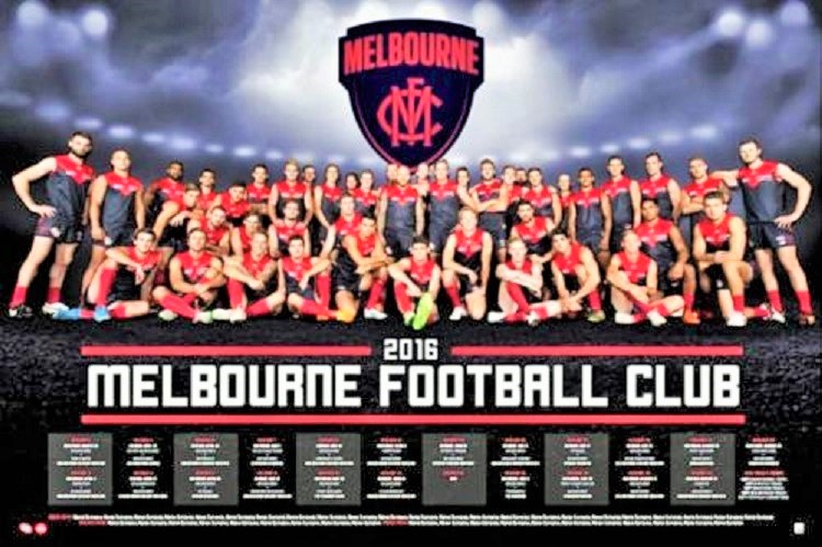 MELBOURNE DEMONS MEMORABILIA & AFL Merchandise: Melbourne Demons 2016 ...